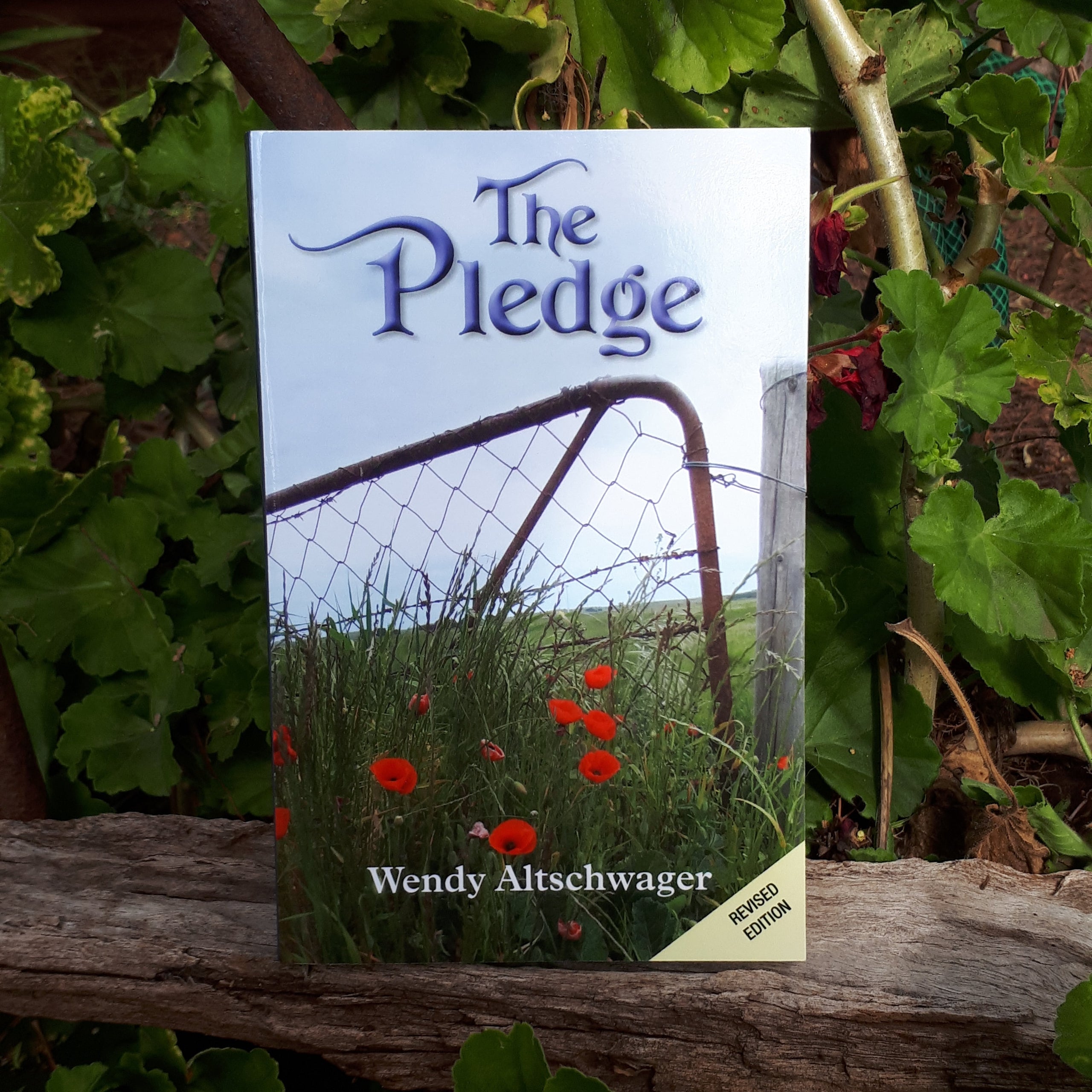 The Pledge | Wendy Altschwager Author